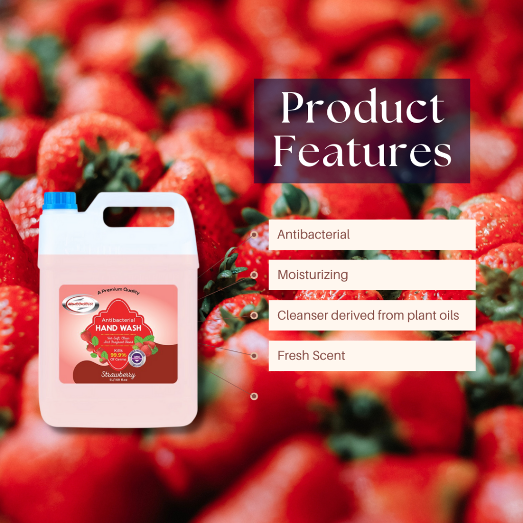 Biomedico Antibacterial Hand Wash (5L) Strawberry – Zircochem Resources